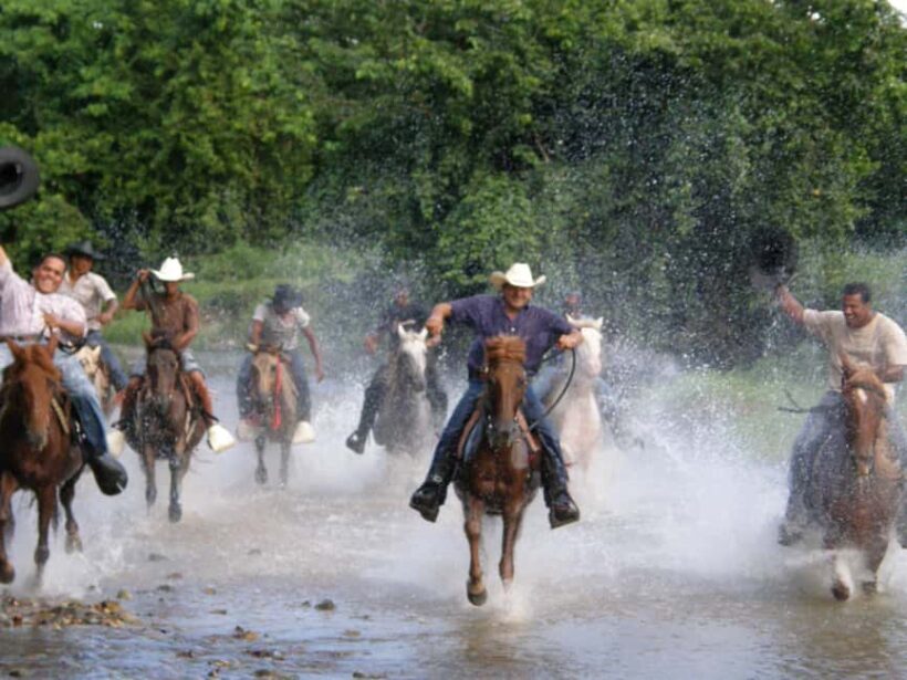 Horseback Riding Tour of Punta Cana - What to Expect from the Tour