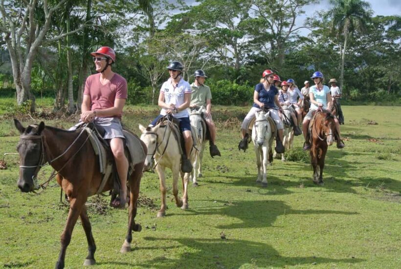 Horseback Riding Tour of Punta Cana - Practical Details and Value
