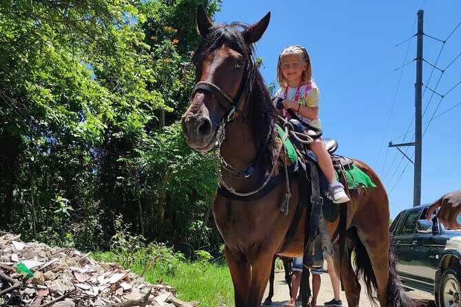 Horseback Riding Tour on Bergantin Beach - Who Will Love This Tour?