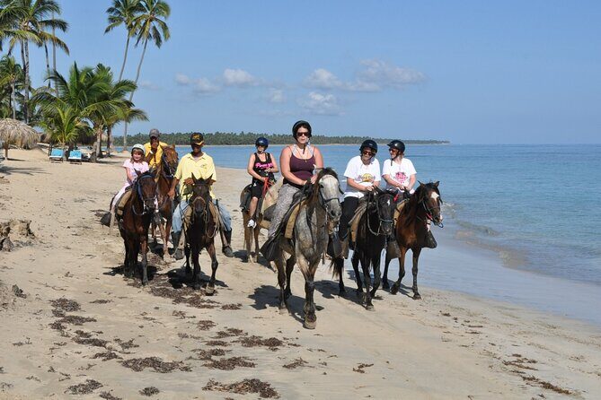 Horseback Riding Tour on the Beaches of Punta Cana - An In-Depth Look at the Horseback Riding Tour