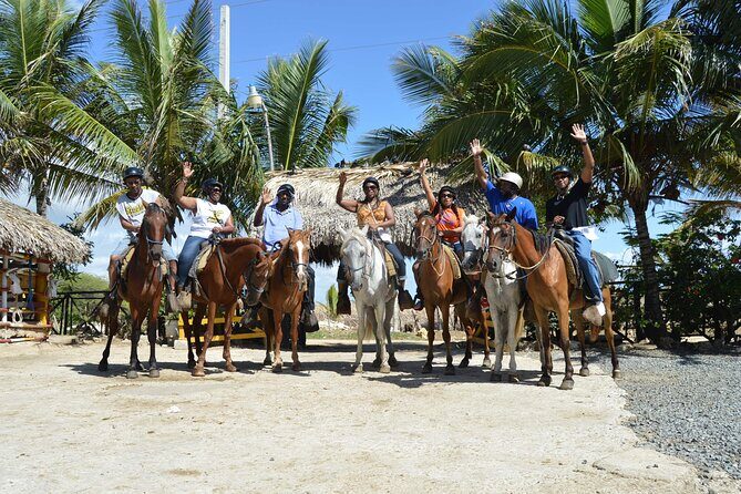 Horseback Riding Tour on the Beaches of Punta Cana - The Sum Up