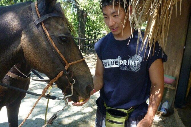 Horseback riding tours from amber cove & Taino bay port silver - The Sum Up