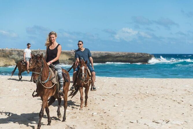 Horseback Riding Wariruri Beach Tour in Aruba - Who Will Love This Tour?