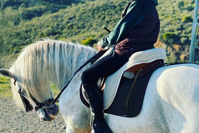Horseback Riding with Certified Guide - Practical Details That Matter