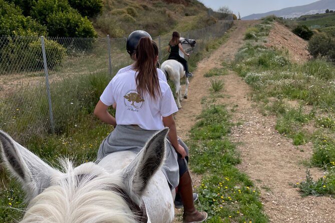 Horseback Riding with Certified Guide - Who Will Love This Tour?
