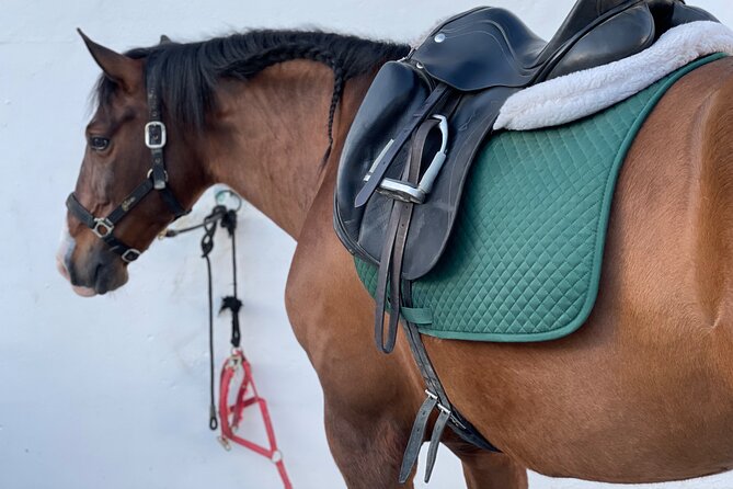 Horseback Riding with Certified Guide - The Sum Up