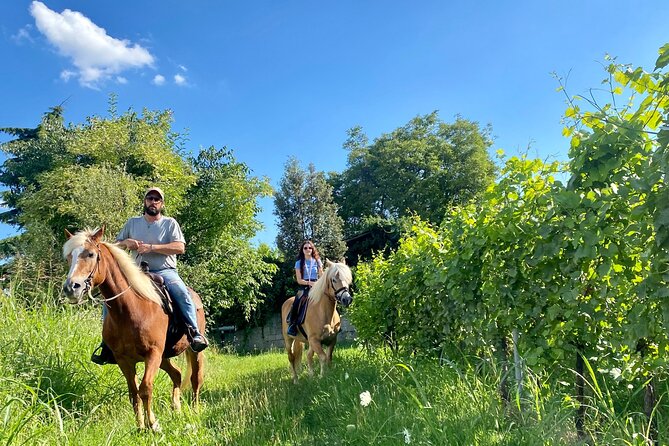 Horseback Riding with Wine and Food Tasting in Lazise Countryside - Discovering Lake Garda’s Countryside on Horseback with Wine and Food