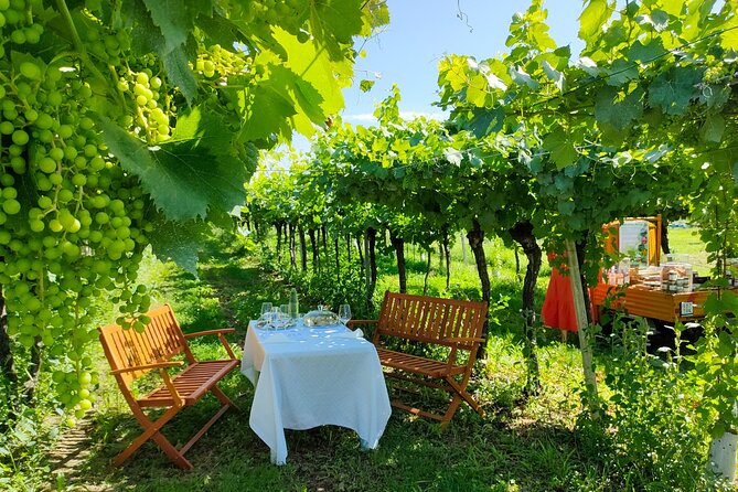 Horseback Riding with Wine and Food Tasting in Lazise Countryside - What the Reviews Say: Authentic and Well-Loved