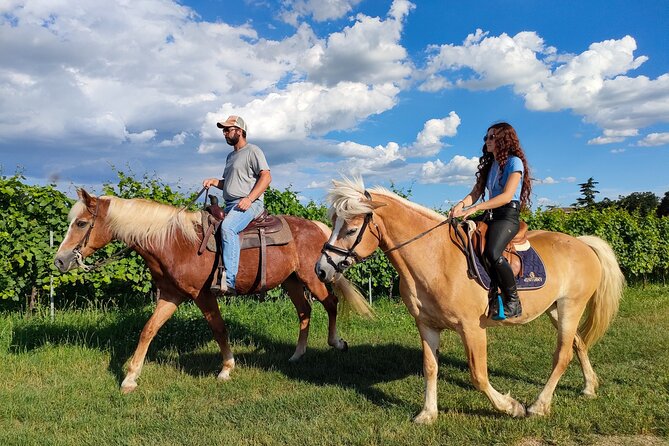 Horseback Riding with Wine and Food Tasting in Lazise Countryside - Final Thoughts: Is This Tour for You?