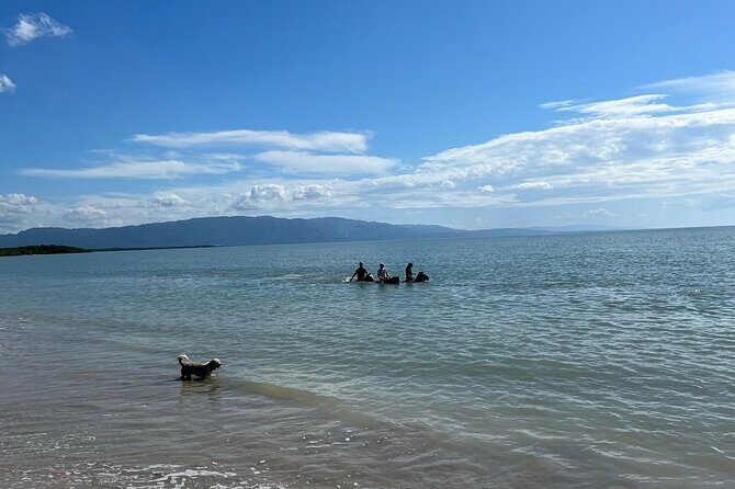 Horseback SPECIAL- Negrils Beach Ride N Swim with Free photos/videos - Authentic Experiences and Unique Highlights