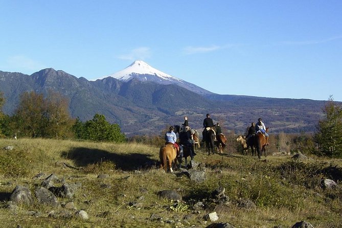 Horseback Trailride Excursion - Key Points