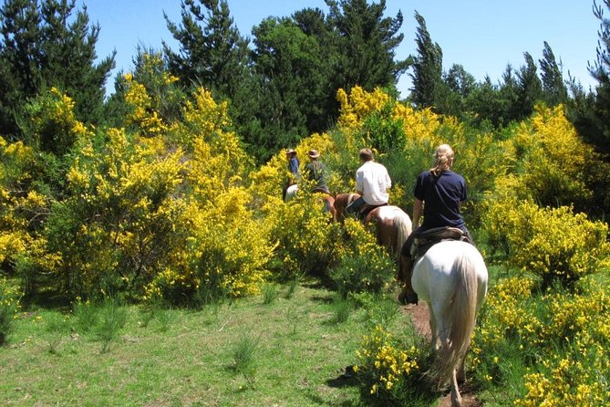 Horseback Trailride Excursion - Tour Details