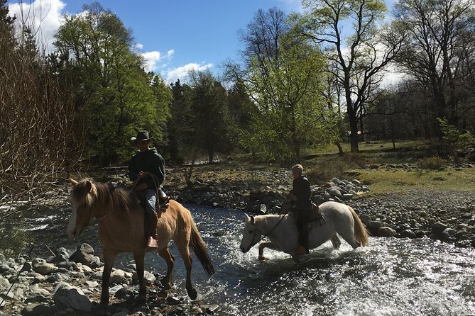 Horseback Trailride Excursion - Scenery