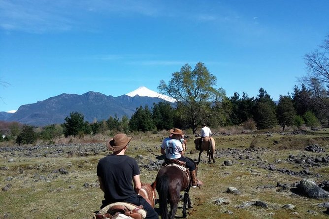 Horseback Trailride Excursion - What to Expect