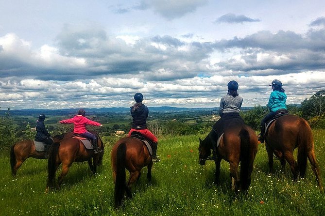 Horsebackriding - Explore Tuscan Nature - Booking and Pricing Information
