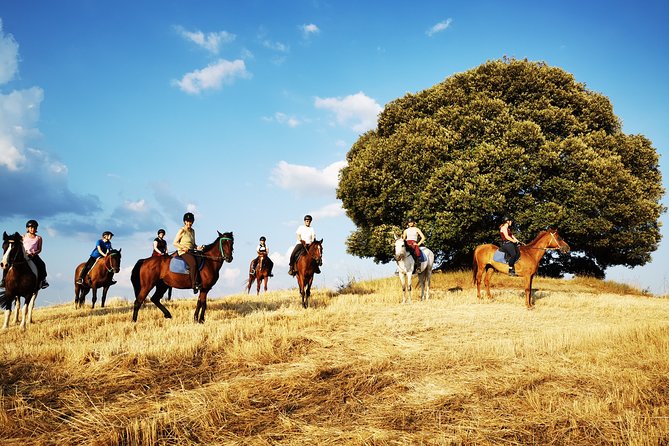 Horsebackriding - Explore Tuscan Nature - Scenic Routes Through Tuscan Landscapes