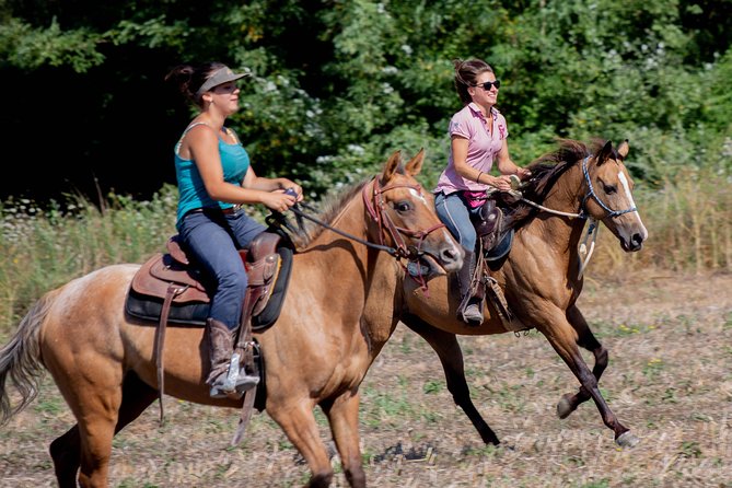Horsemanship Experience - Key Points
