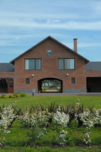 Horses, Asado & Nature. A day at a thoroughbred farm - An Introduction to Haras Chenaut: What’s in Store?