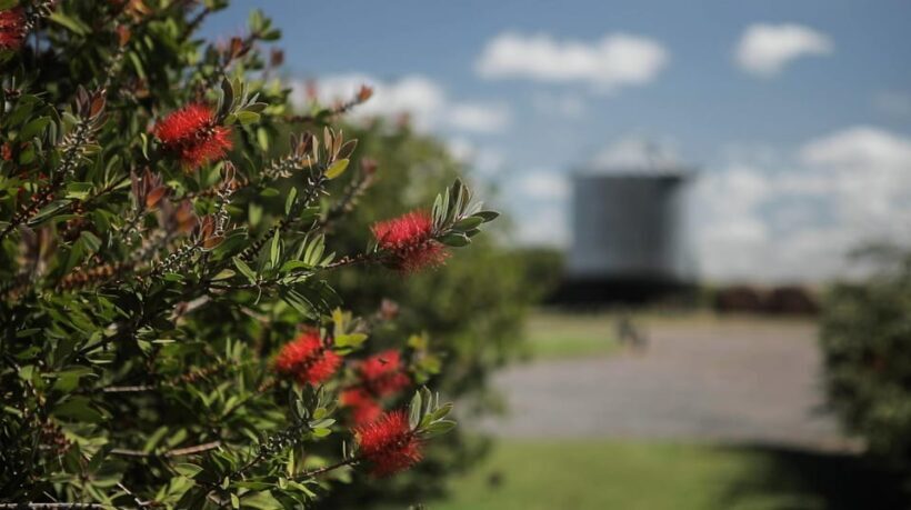 Horses, Asado & Nature. A day at a thoroughbred farm - The Horses & Breeding Experience