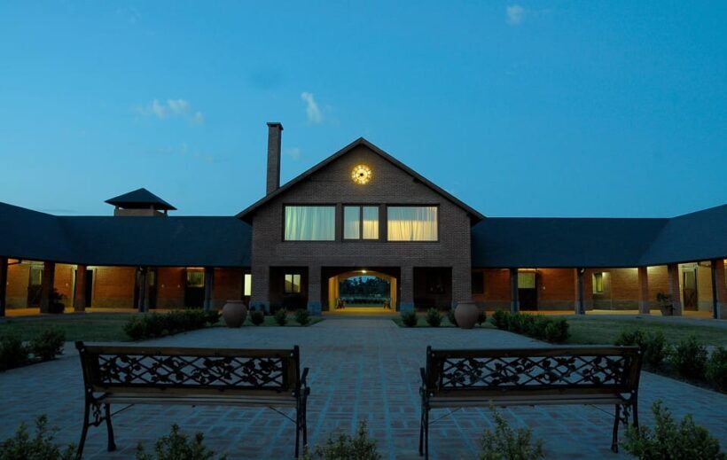 Horses, Asado & Nature. A day at a thoroughbred farm - The Sum Up