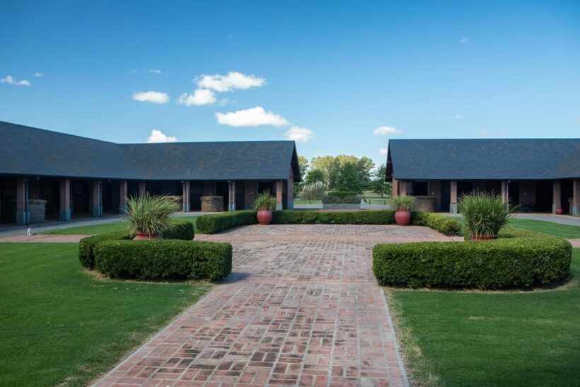 Horses, Asado & Nature. A day at a thoroughbred farm - Frequently Asked Questions