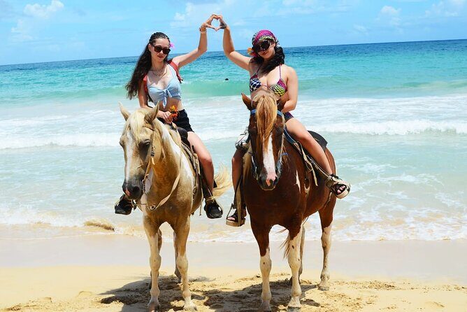 Horses, Buggy, and plantation in Chocaci Ranch - Exploring the Chocaci Ranch Experience