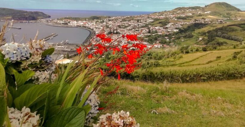 Horta, Faial Island: Half Day Tour - The Sum Up: Is This Tour Worth It?