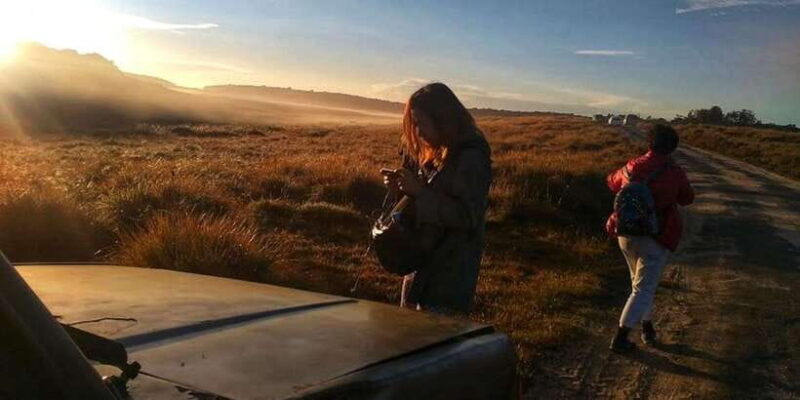 Horton plains: Discover real essence of central highland - The Sum Up: Who Will Love This Tour?