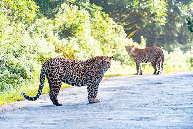 Horton Plains National park - FAQs