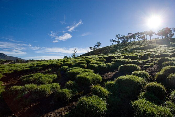 Horton Plains National Park Entrance Ticket with Guide - What to Expect Inside Horton Plains