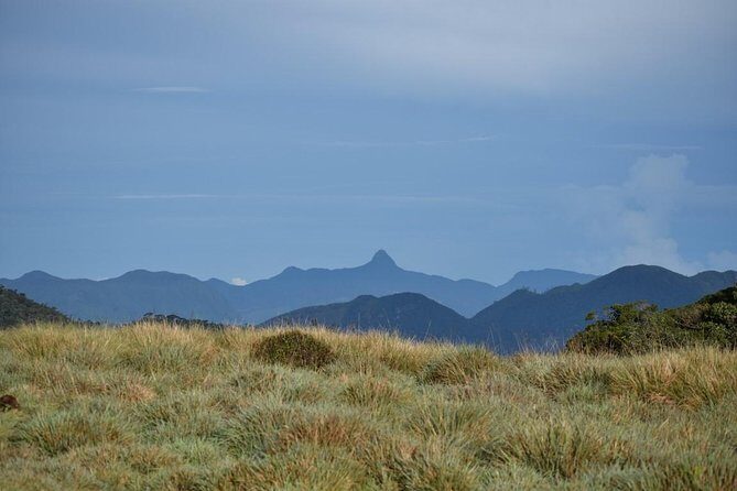Horton Plains National Park Entrance Ticket with Guide - The Guided Experience