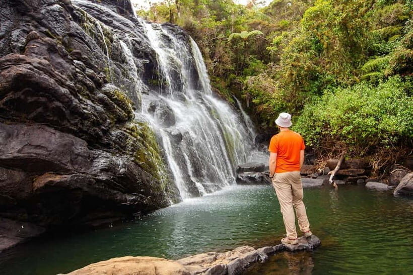 Horton Plains National Park From Nuwara Elia Tuk Tuk Tour - Key Points