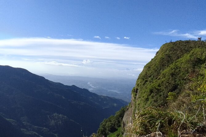 Horton Plains-World's End Tour and Tea Factory Tour From Nuwaraeliya - The Scenic Journey to Nuwara Eliya’s Tea Estate