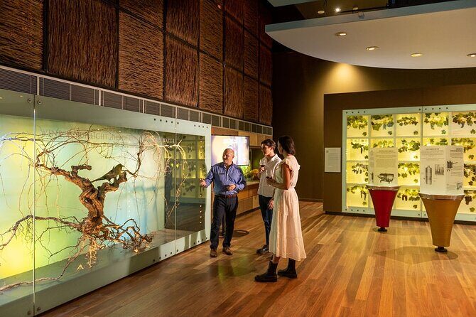 Hosted Wine Discovery Journey Tour - Review of the Hosted Wine Discovery Journey Tour in Adelaide