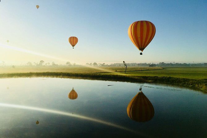 Hot Air Balloon Flight Brisbane with Vineyard Breakfast - An Overview of the Experience