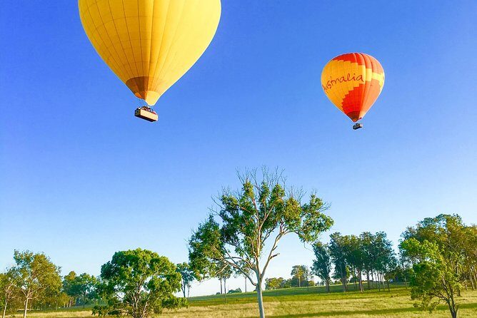 Hot Air Balloon Flight Brisbane with Vineyard Breakfast - What the Reviews Say