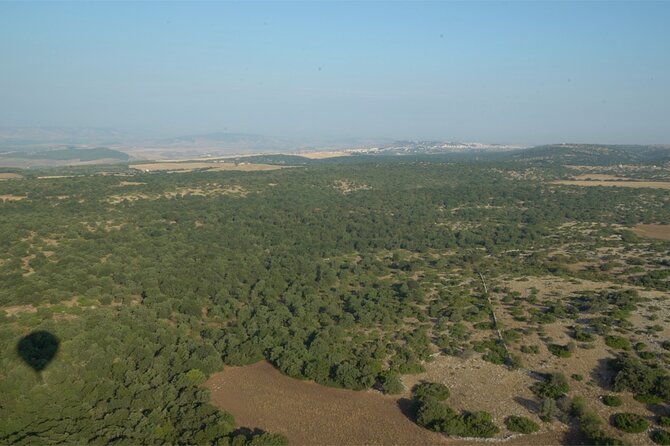 Hot Air Balloon Flight in the Sibari Plain for Small Groups - What Travelers Say
