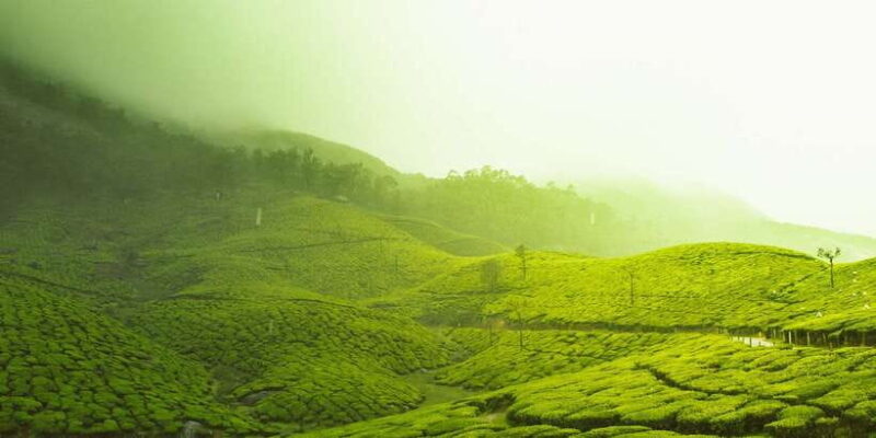 Hot Air Balloon ride in Dambulla - Who Will Love This Tour?