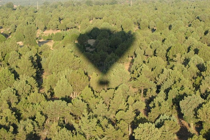 Hot-Air Balloon Ride Over Madrid'S Guadarrama Regional Park - Indulging in the Post-Flight Brunch