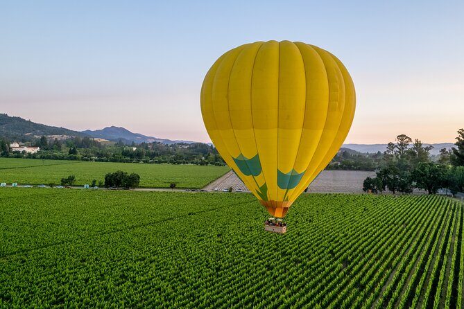 Hot Air Balloon Rides in Napa Valley - Value and Pricing: Is It Worth It?
