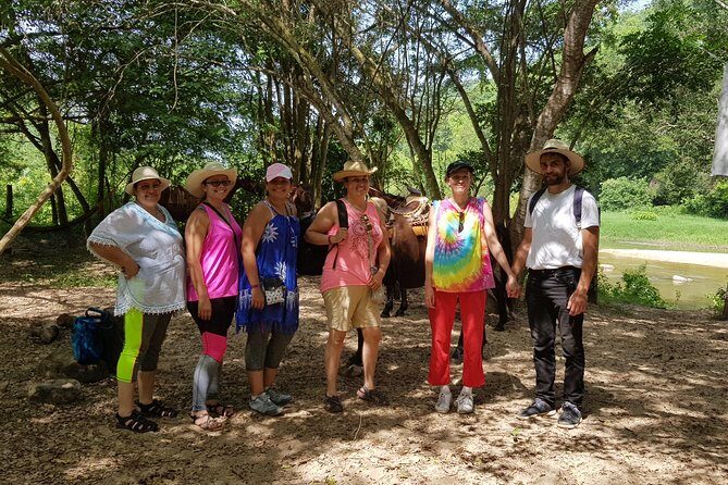 Hot Springs Horseback Riding Adventure - An Honest Look at the Experience