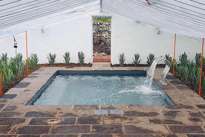 Hot Water Pool Bath Inside Pineapple Plantation & Dinner - Discovering Herdade Do Ananás: a Pineapple Paradise