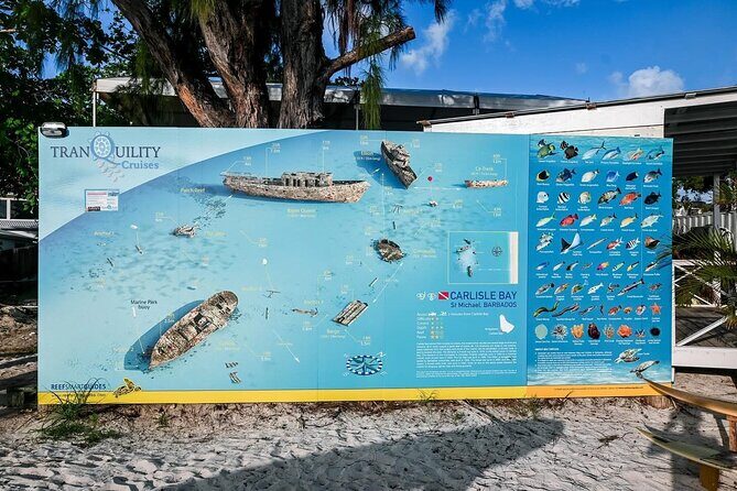 Hotel Beach Day at Savvy with Shuttle Transfer - Final Thoughts: Is It Worth It?