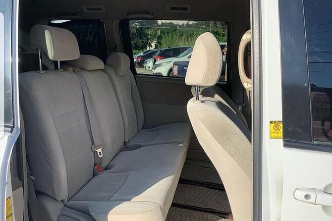 Hotel Riu Palace Aquarelle Private Airport transfer - The Experience: What to Expect from Your Private Transfer