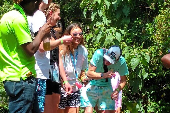 Hotels/AirBnb in Montego Bay Transportation Services and Transfer - What You Can Expect From This Transfer Service