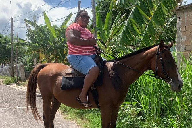 Hour Horseback Riding Guided Tour from Runaway Bay - An In-Depth Look at the Horseback Riding Tour Experience