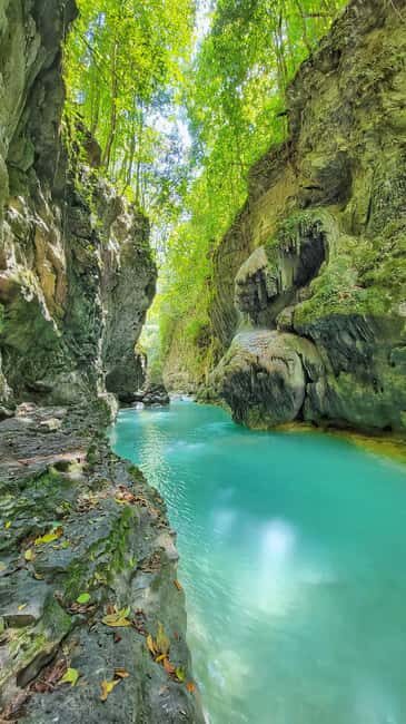 Hour Rio Partido's Secret River Trail with Lunch - Discovering Rio Partido: Nature’s Hidden Gem