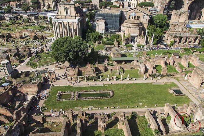Houses of Augustus and Livia Private Tour with Roman Forum and Palatine Hill - Authentic Experiences and Review Highlights