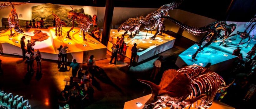 Houston: 1-Day or 3-Day Museum Pass - What Make This Museum Pass Attractive?