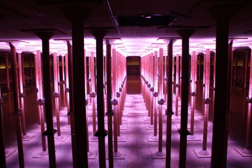 Houston: Buffalo Bayou Park Cistern History Tour - Houston: Buffalo Bayou Park Cistern History Tour – A Hidden Houston Treasure